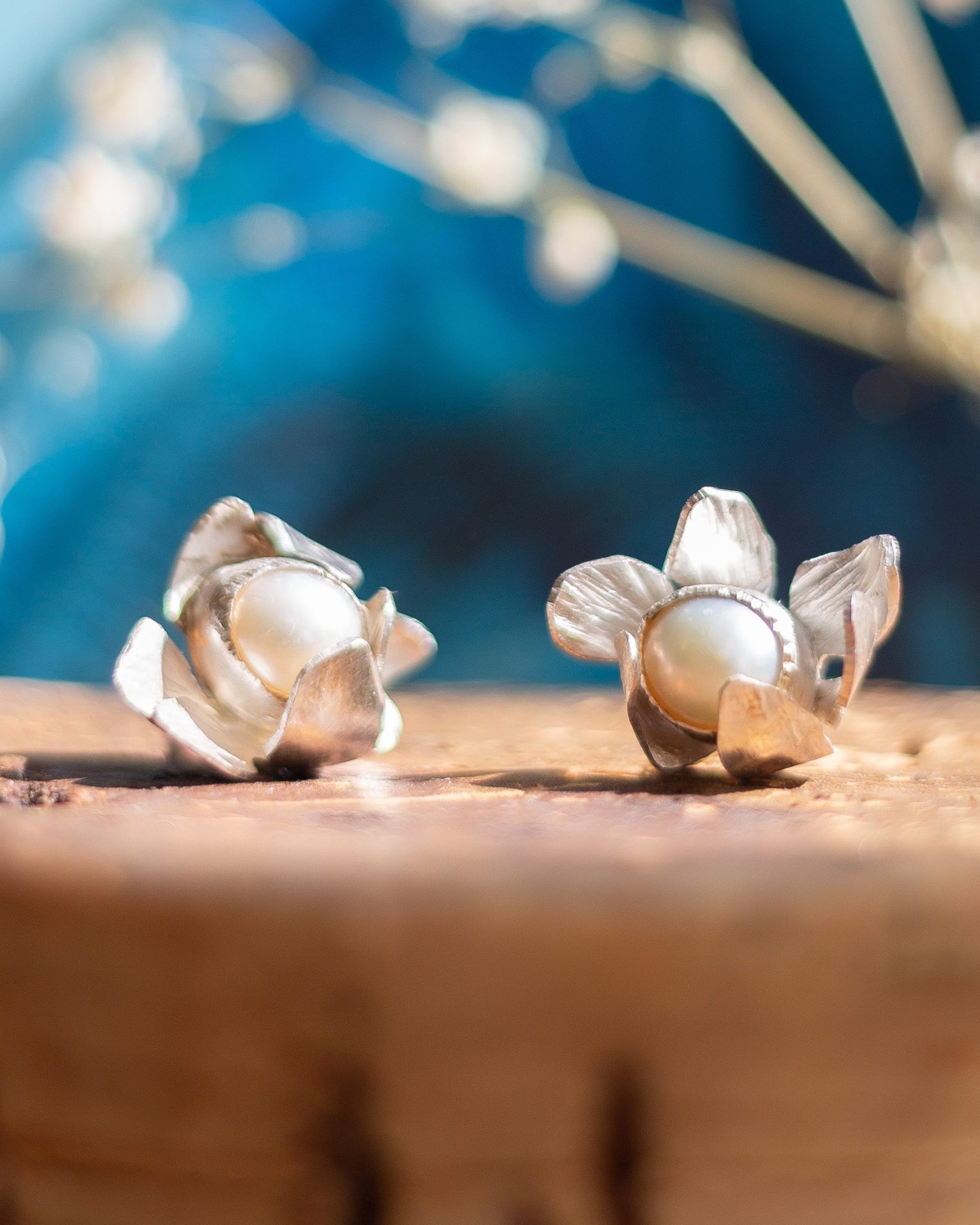 Susan MacLeod | Cockpit