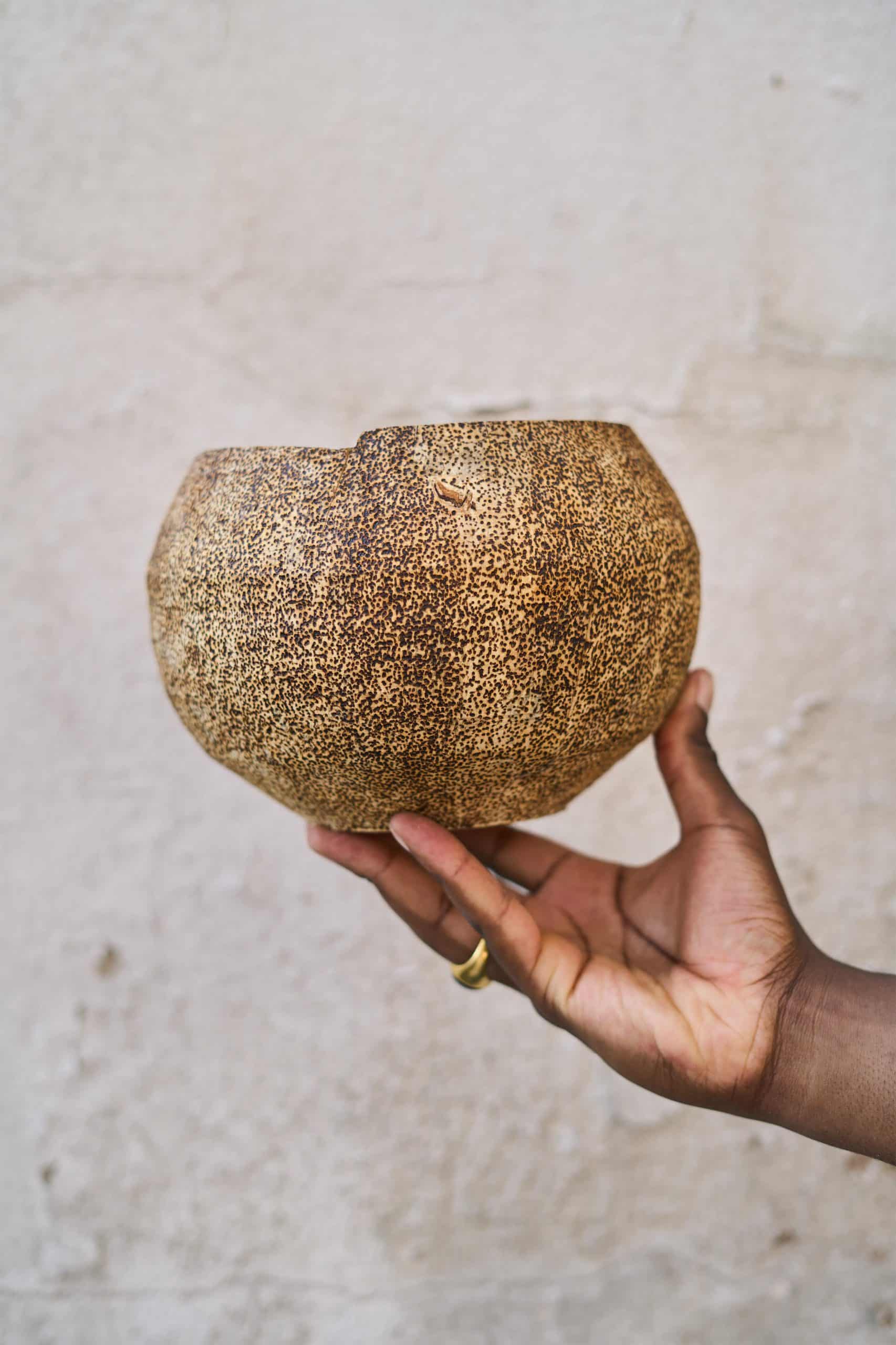 The Cockpit Edit - September 2024